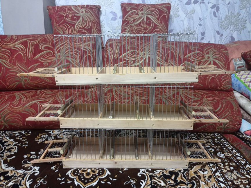 Ловушки для птиц