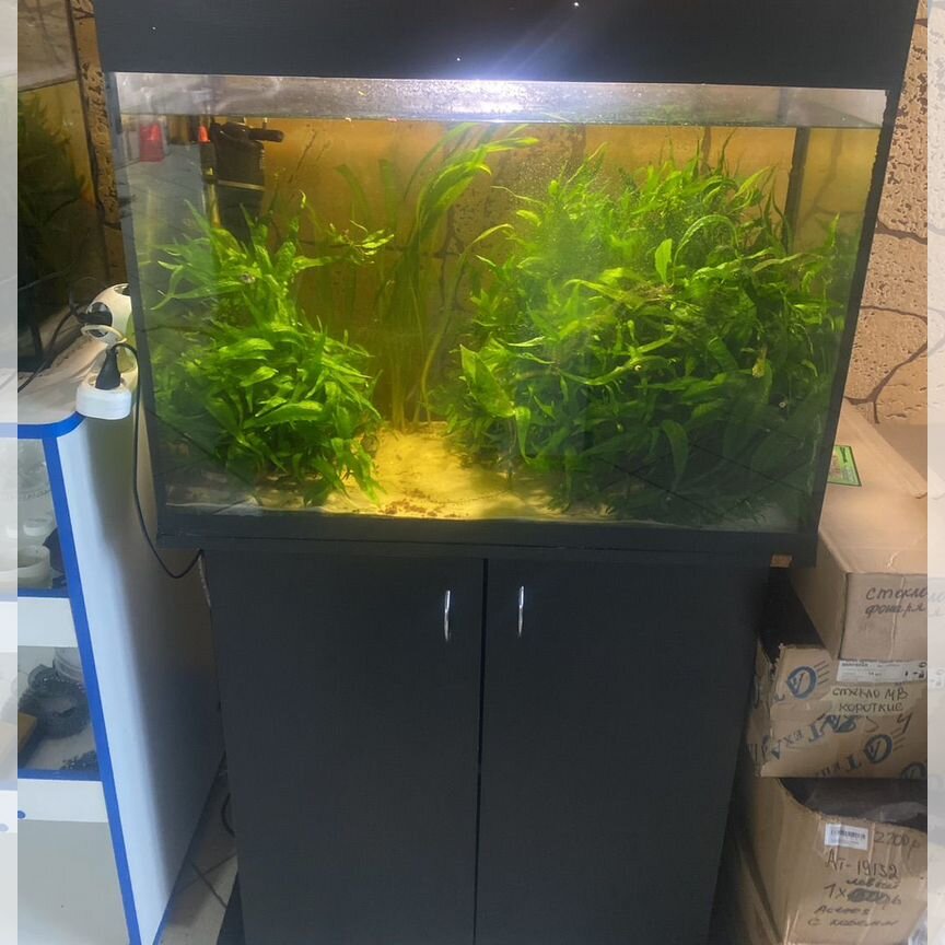 Аквариум с тумбой 140л