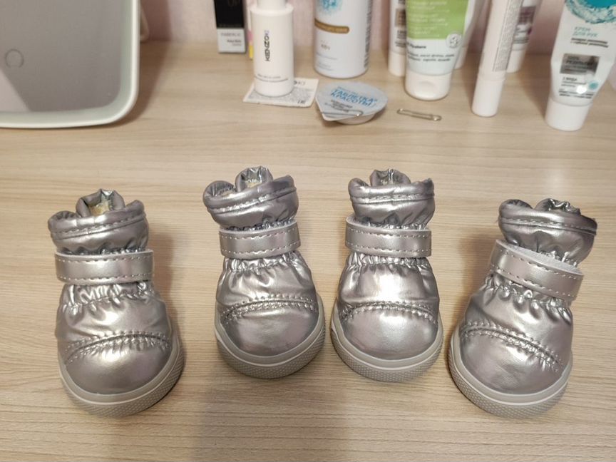 Обувь для собак