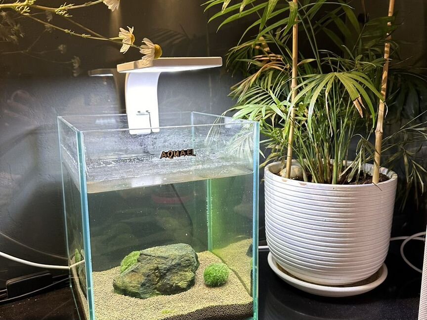 Продам аквариум 10 литров куб aquael