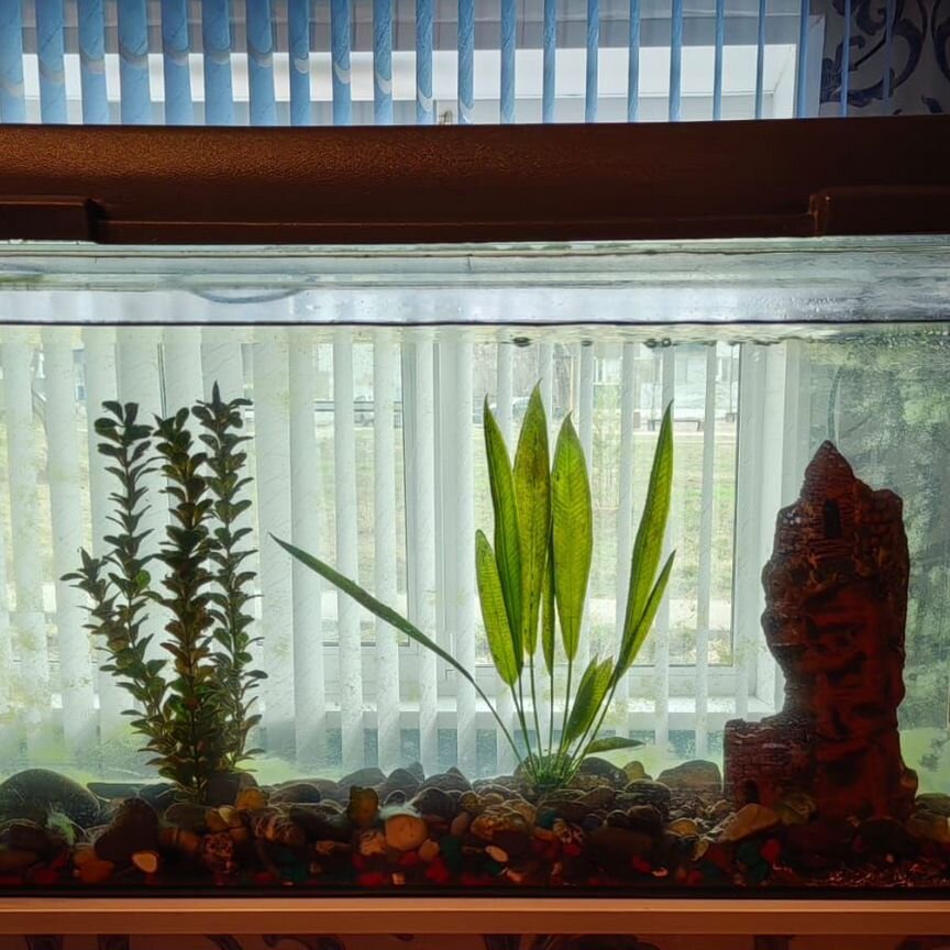 Аквариум