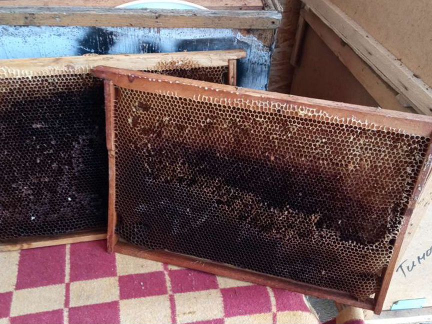 Рамки с сушью