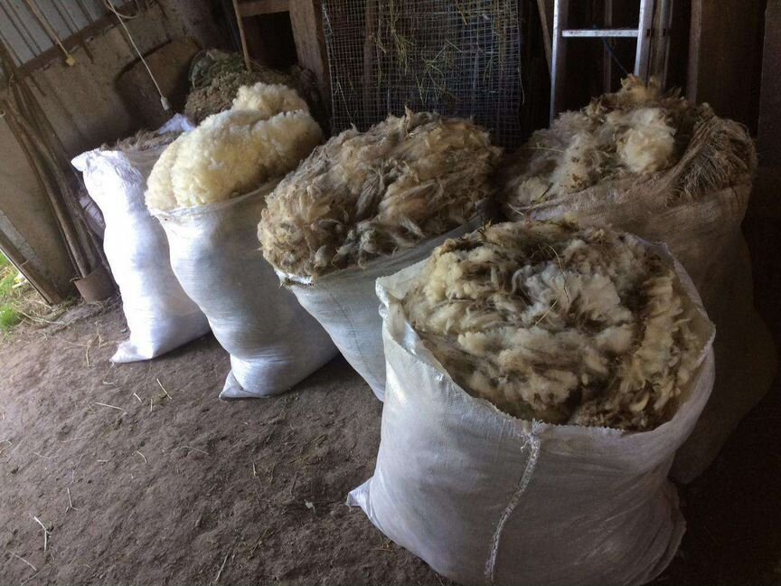 Шерсть Чистокровного Мериноса