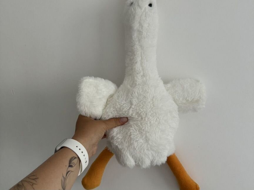 Гусь обнимусь среднего размера