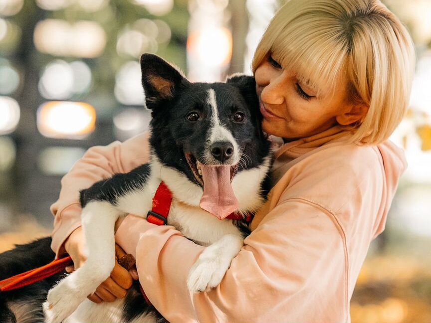 Маленькая собака в добрые руки