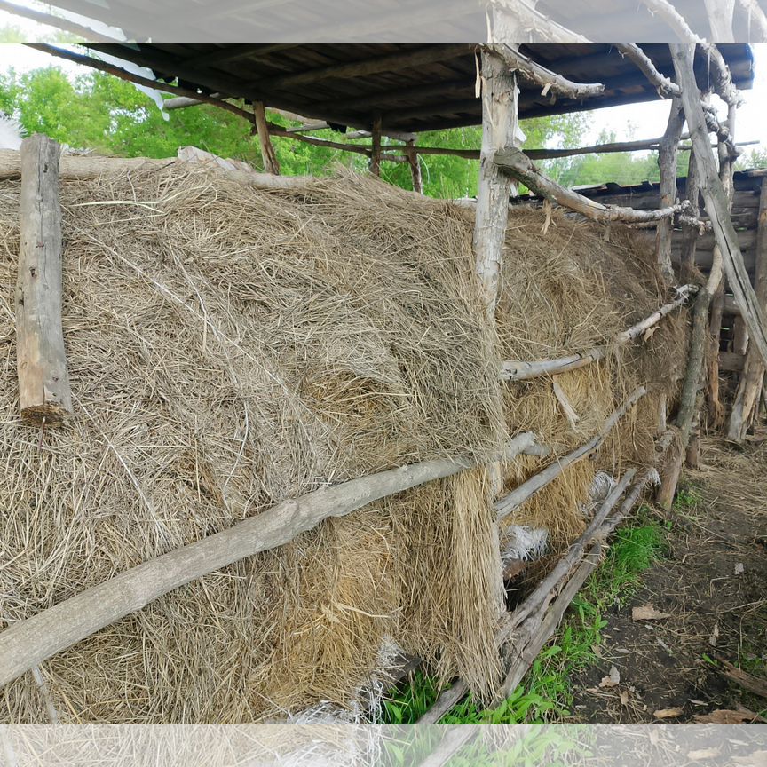 Сено в рулонах