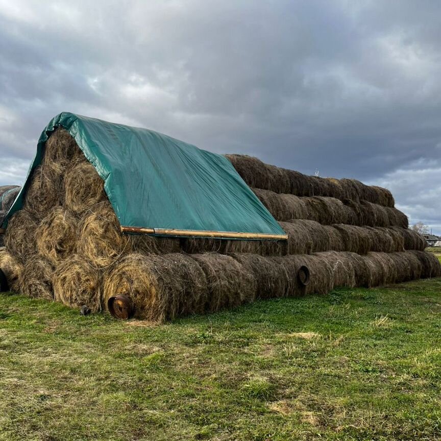 Сено в рулонах