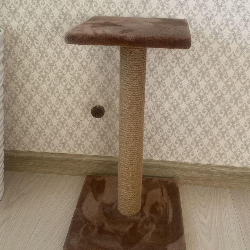 Когтеточка