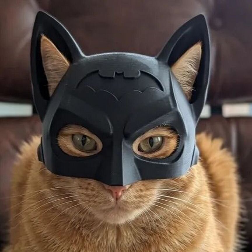 Маска Бэтмена для кота