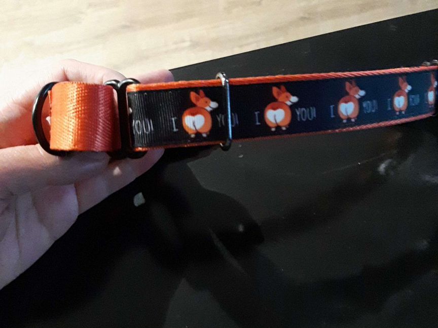 Ошейник для собак (корги)