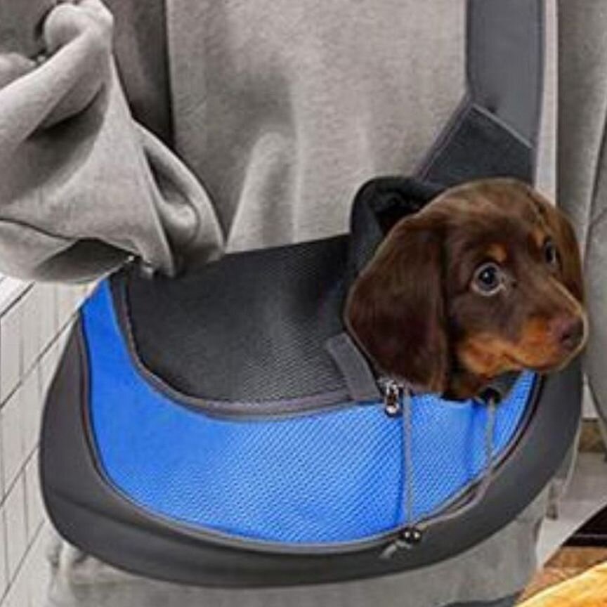 Переноска / дорожная сумка для маленьких собак