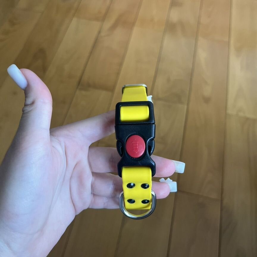 Амуниция для собак