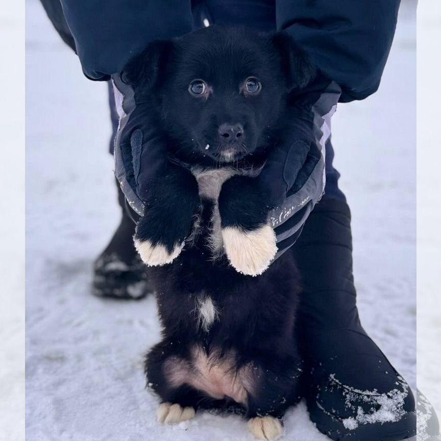 SOS. Девочка 1.5 мес., Мама 1.5 года