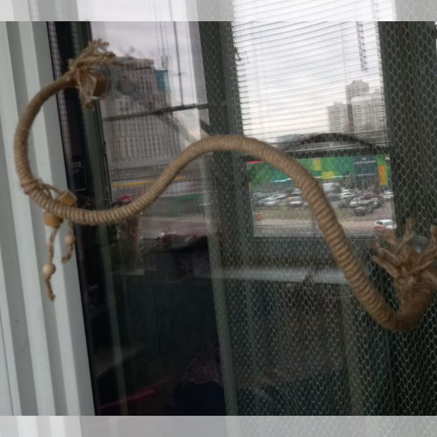 Аксессуары для птиц