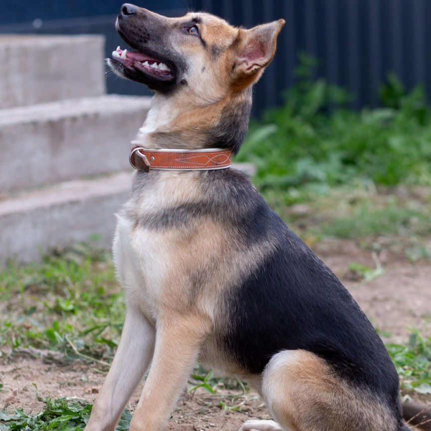 Ника 10 месяцев