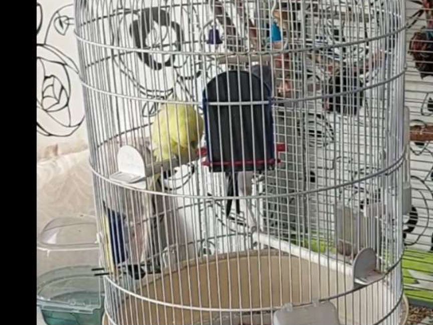 Клетка для попугая