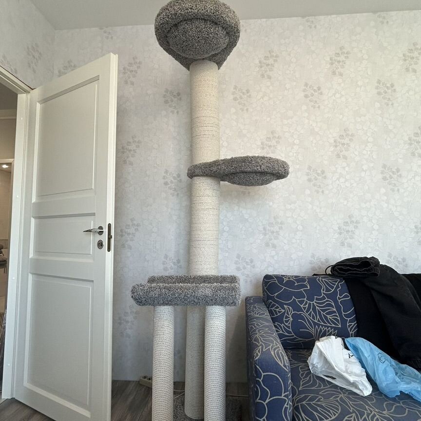 Когтеточка