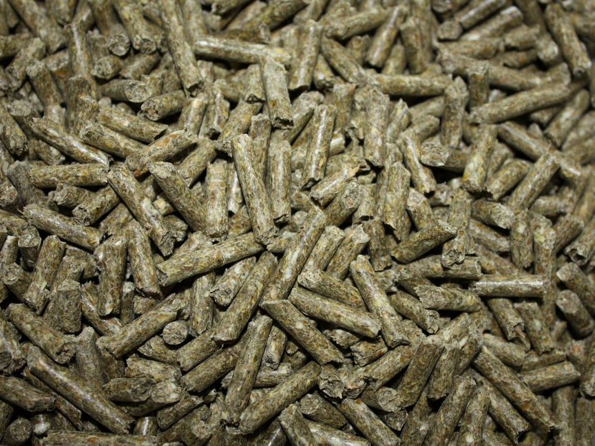 Комбикорм для индюков