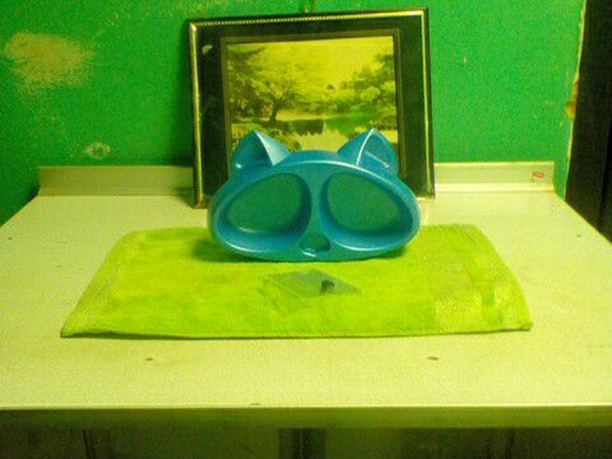 Миска-Киска