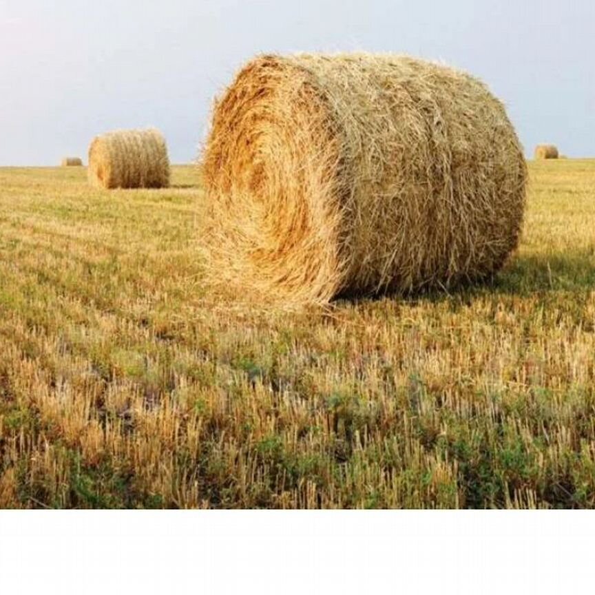 Солома в рулонах