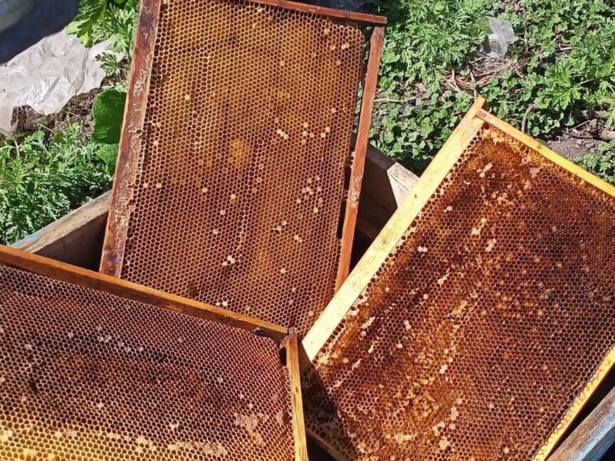 Продам ульи, сушь