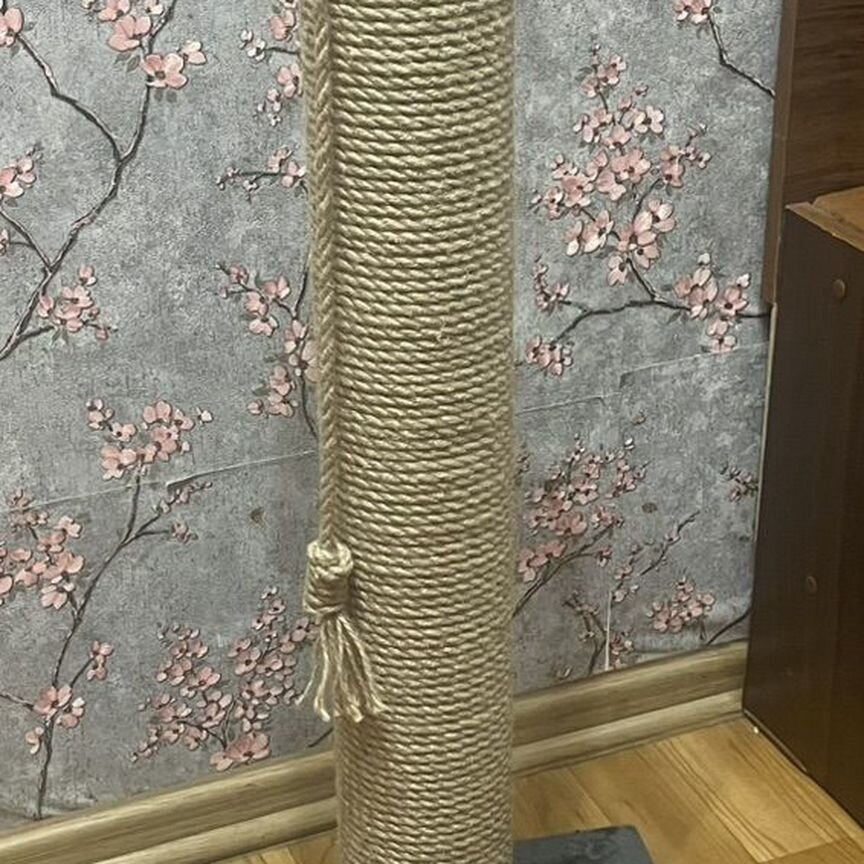 Когтеточка