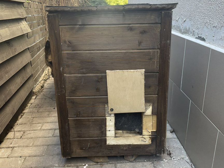 Будка для кошки зимняя