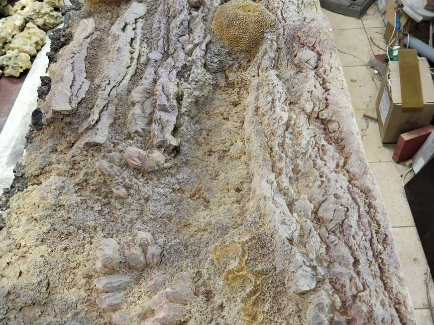 3D фон для аквариума