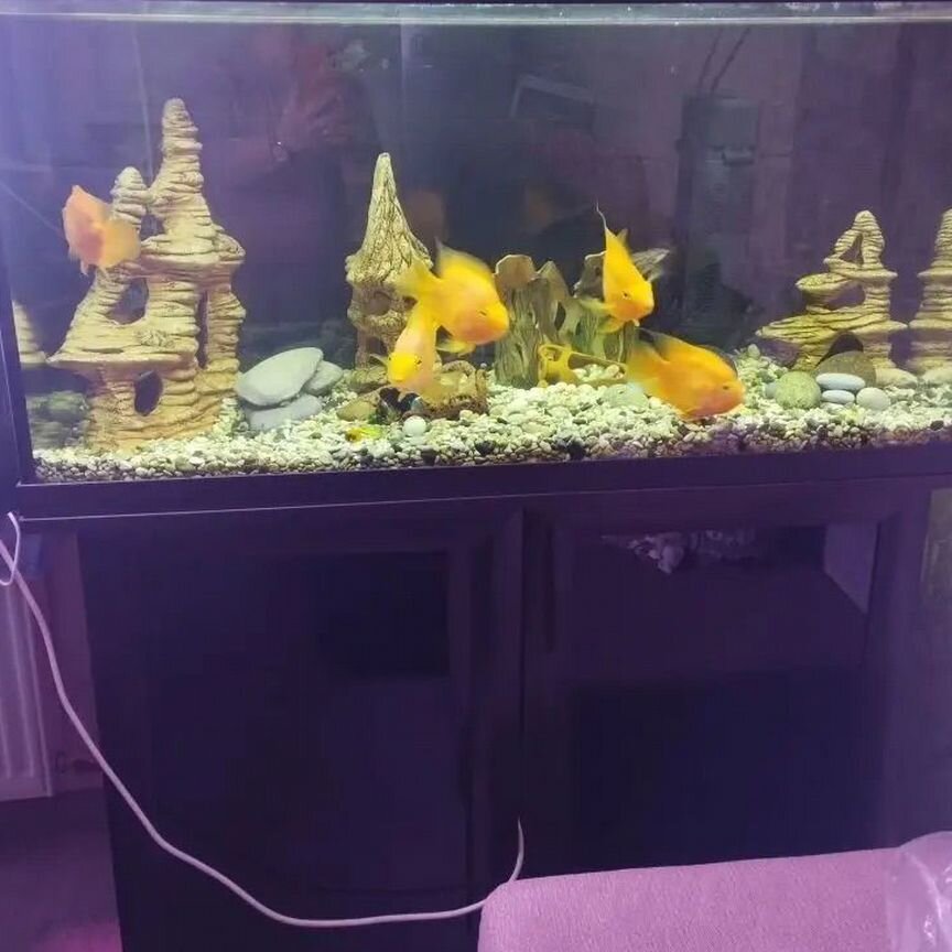 Аквариум с тумбой 250 литров