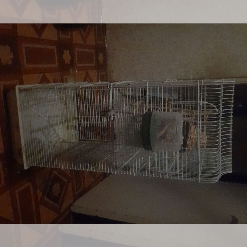 Продам клетку для птиц