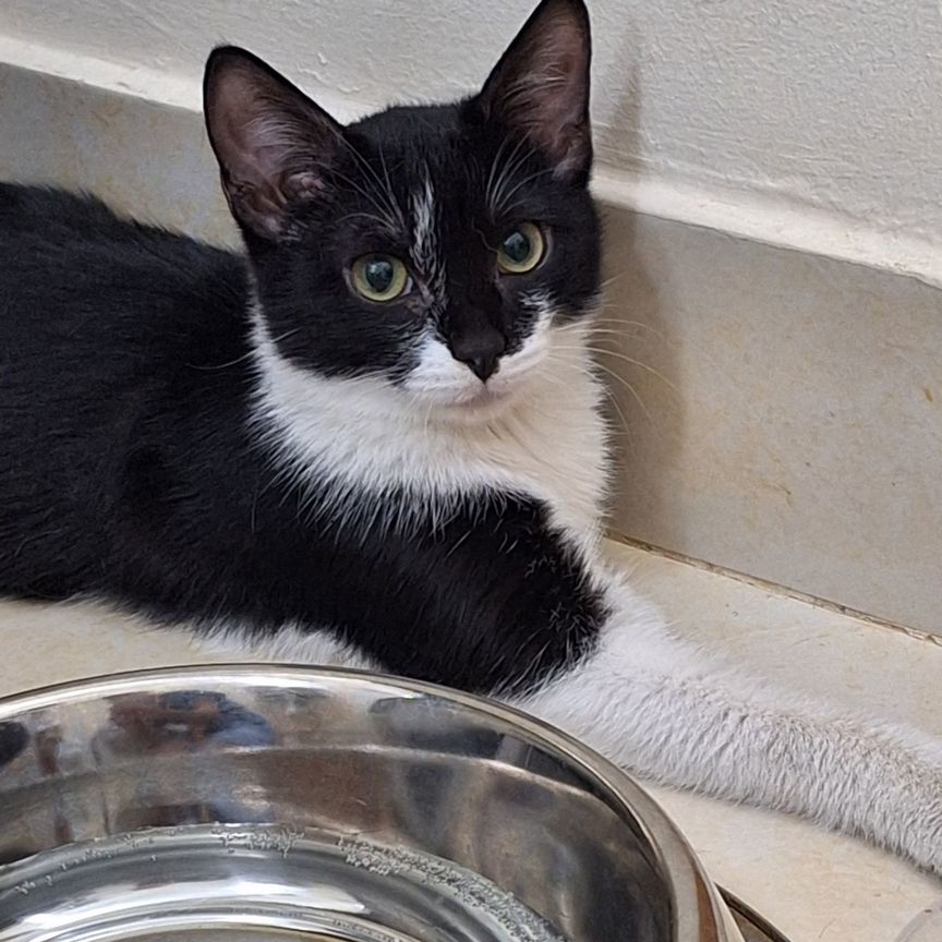 Ласковая малышка