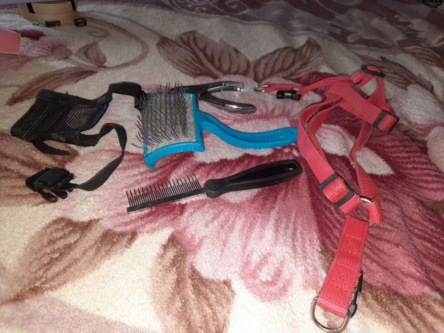 Товары для собак