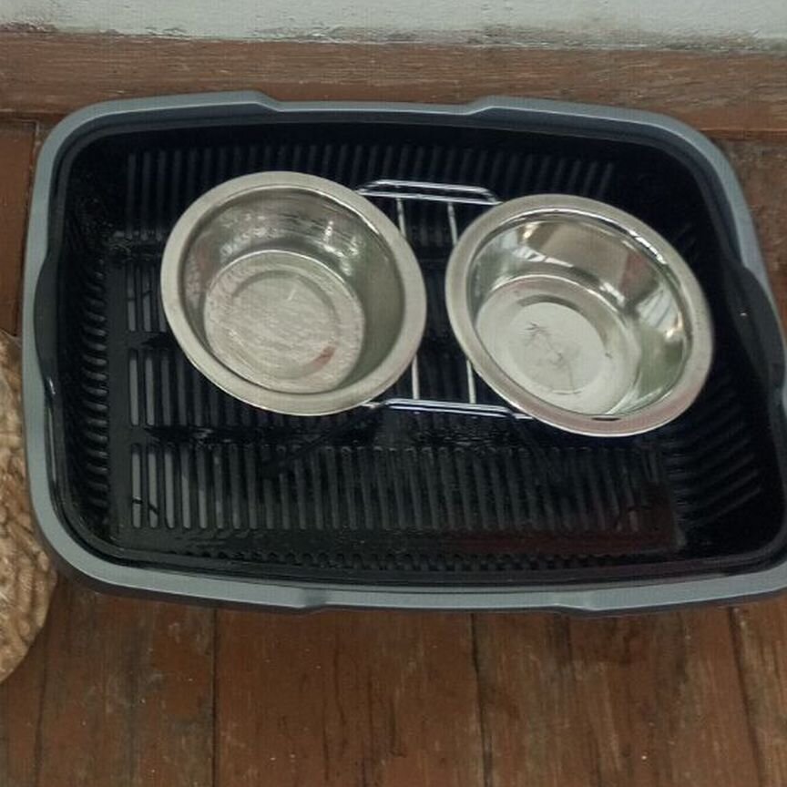 Принадлежности для кошек