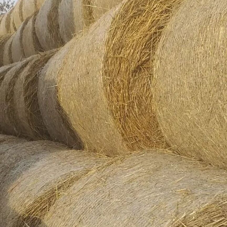 Солома в тюках