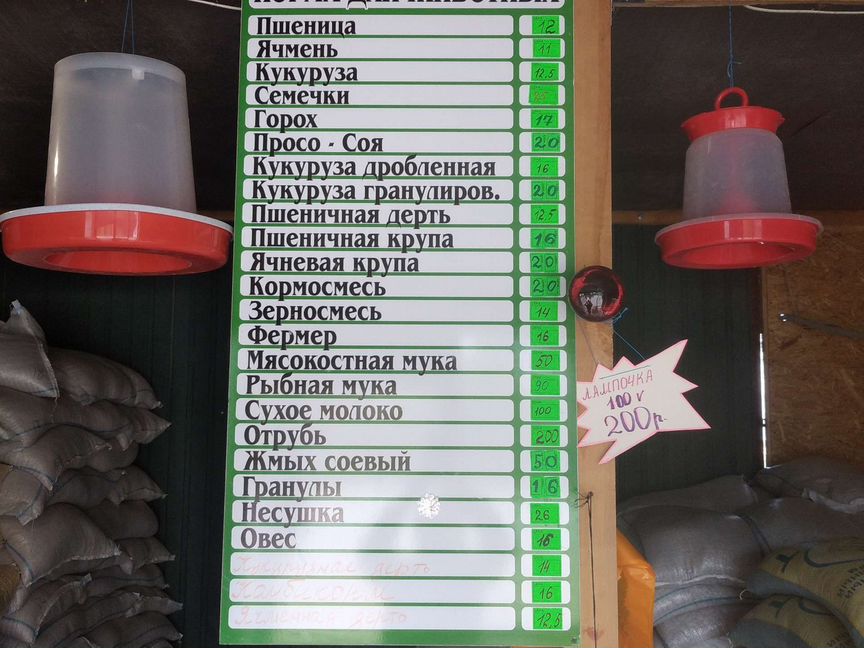 Корма