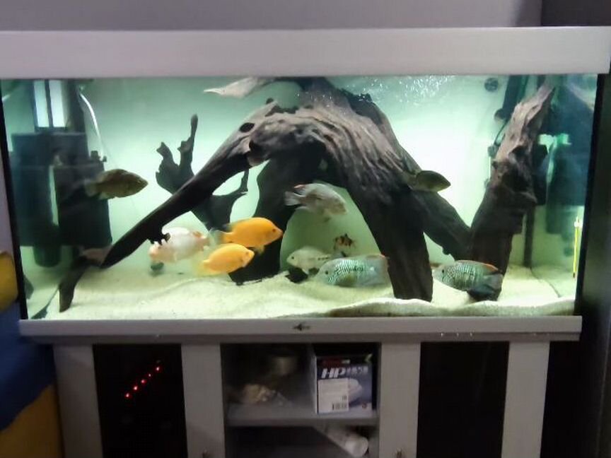 Аквариум Биодизайн Атолл 400