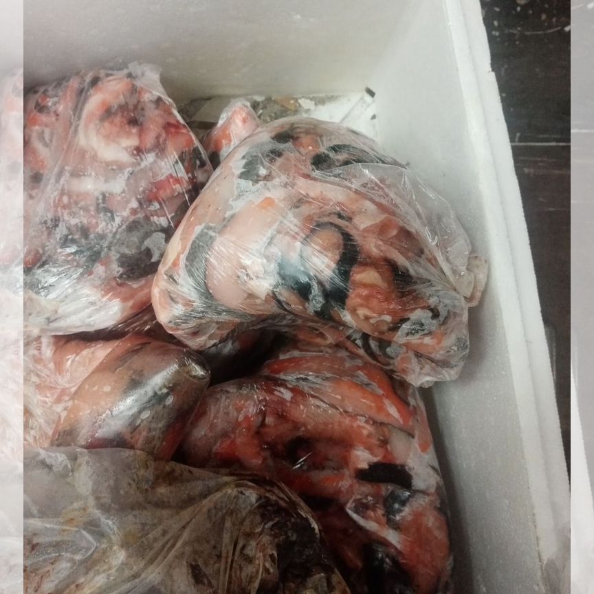 Для животных