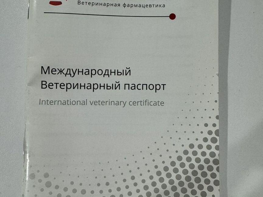 Ветеринарный паспорт новый