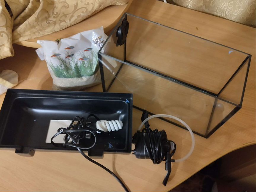 Фильтр для аквариума tetra аквариум