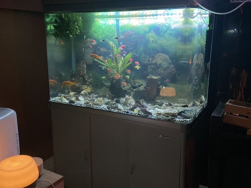 Аквариум