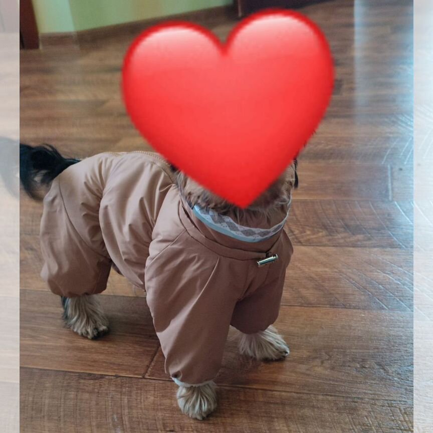 Зимний комбинезон Laira для собак мелких пород