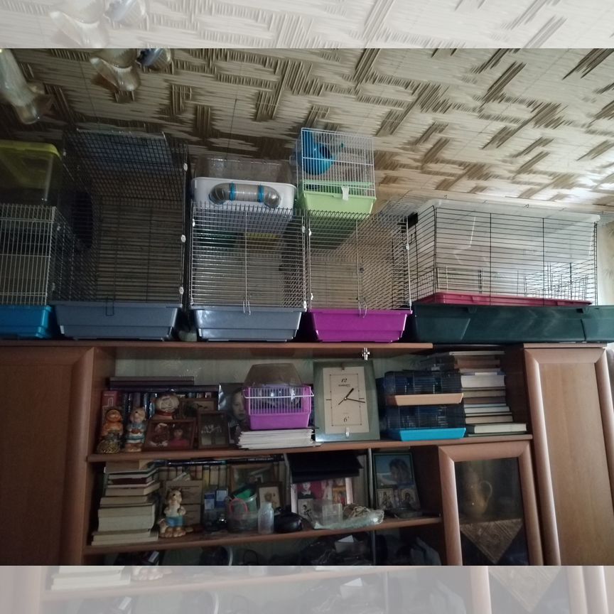 Клетки для крысы мыши хомяка