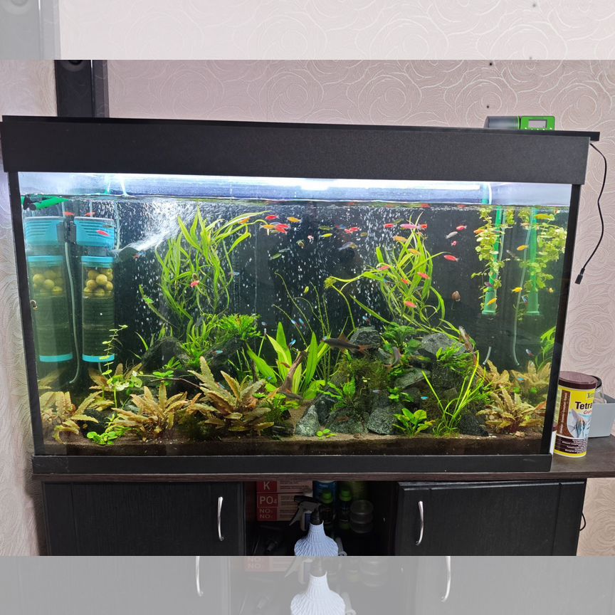 Аквариум 300л с тумбой
