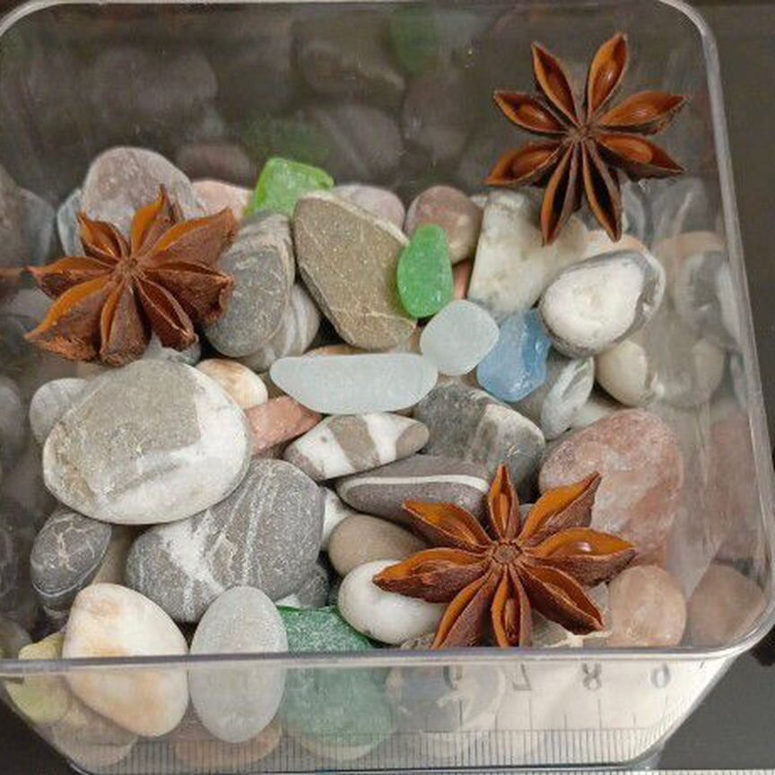 Камни и ракушки