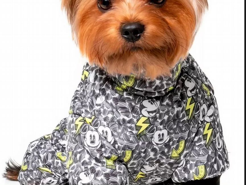 Комбинезоны для собак мелких пород xs