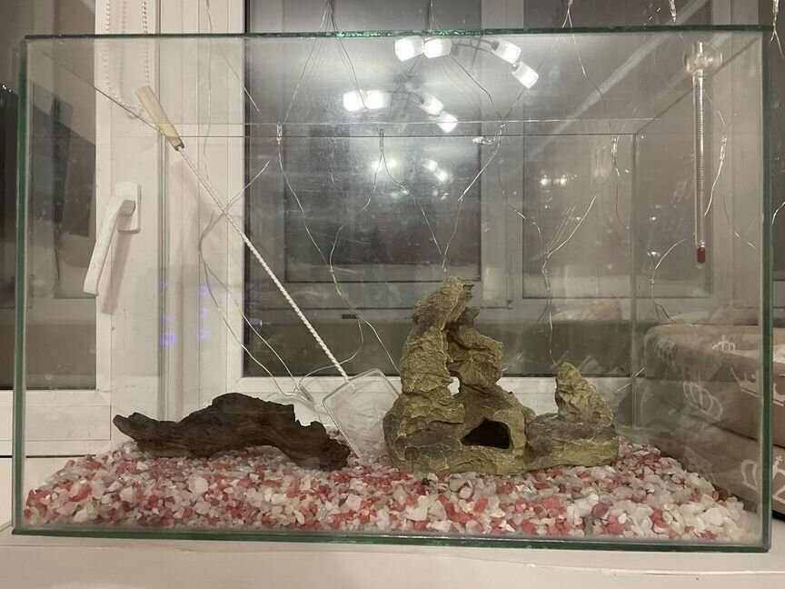 Аквариум с украшениями