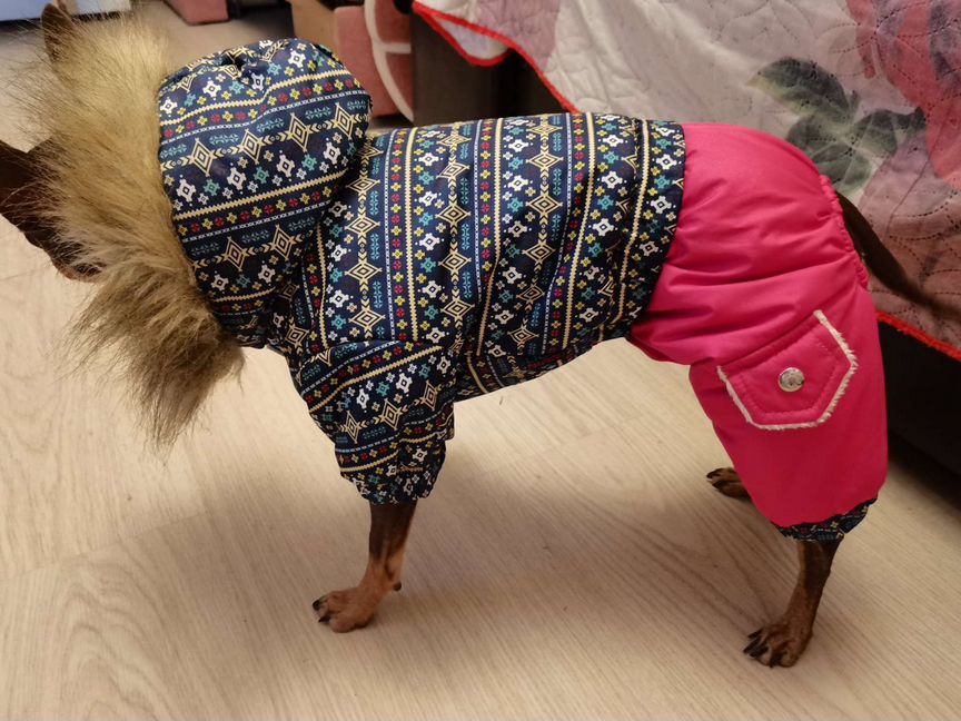 Комбез для маленьких собак
