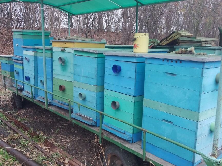 Павильон с ульями