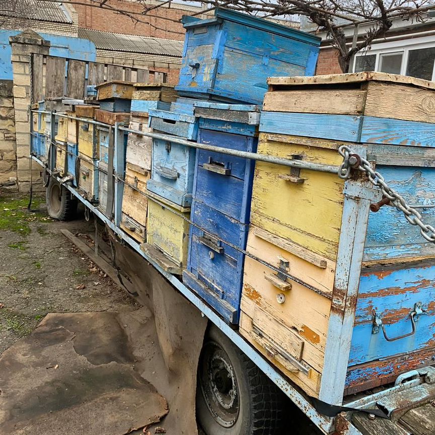 Пчеловодческая телега с уликами