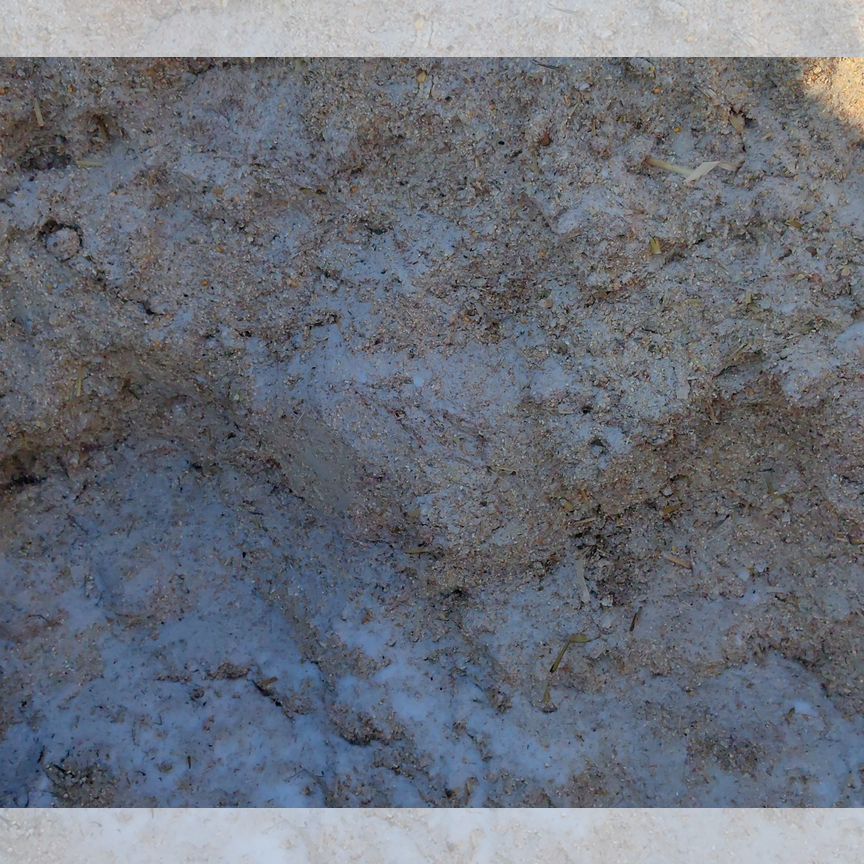 Отходы кукурузы